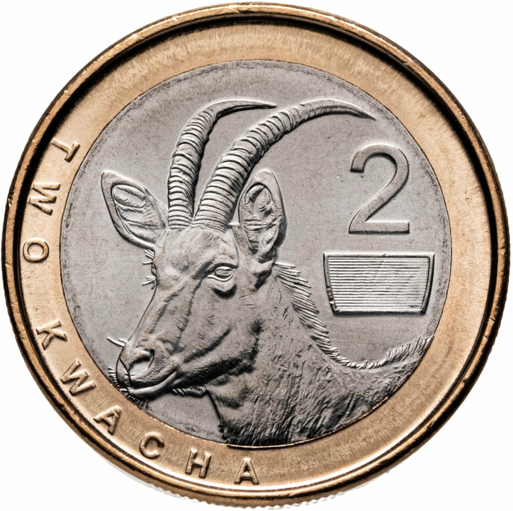 Замбия 2 квачи 2025, Биметалл, в сохранности UNC