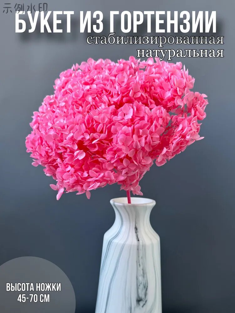 Стабилизированные цветы Гортензия, 60 гр, 1 шт, высота ножки 45-70 см, розовый