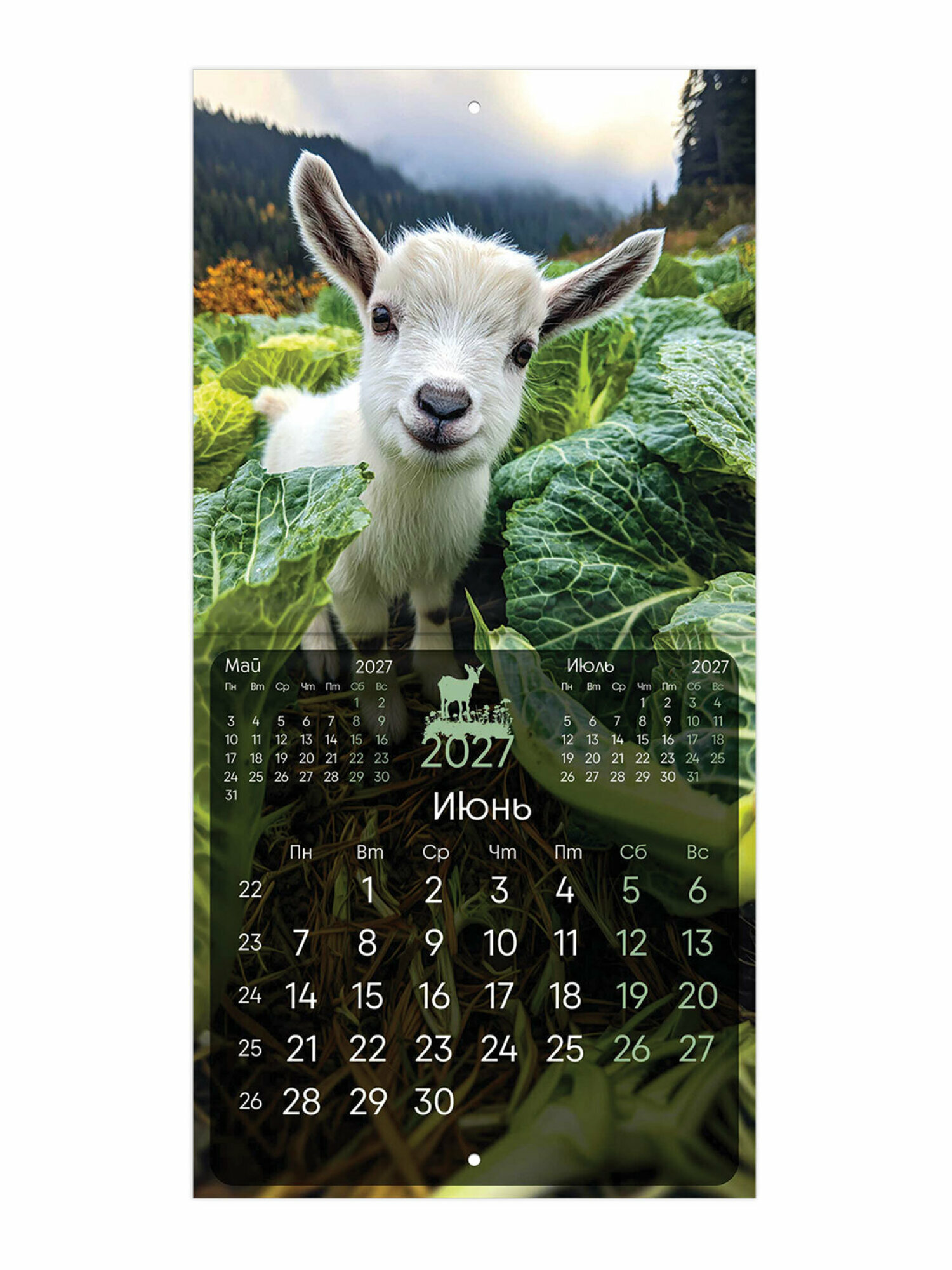 Календарь 2027 настенный перекидной мини, 12 листов, 21,4х42,8 см, Brauberg, 118434
