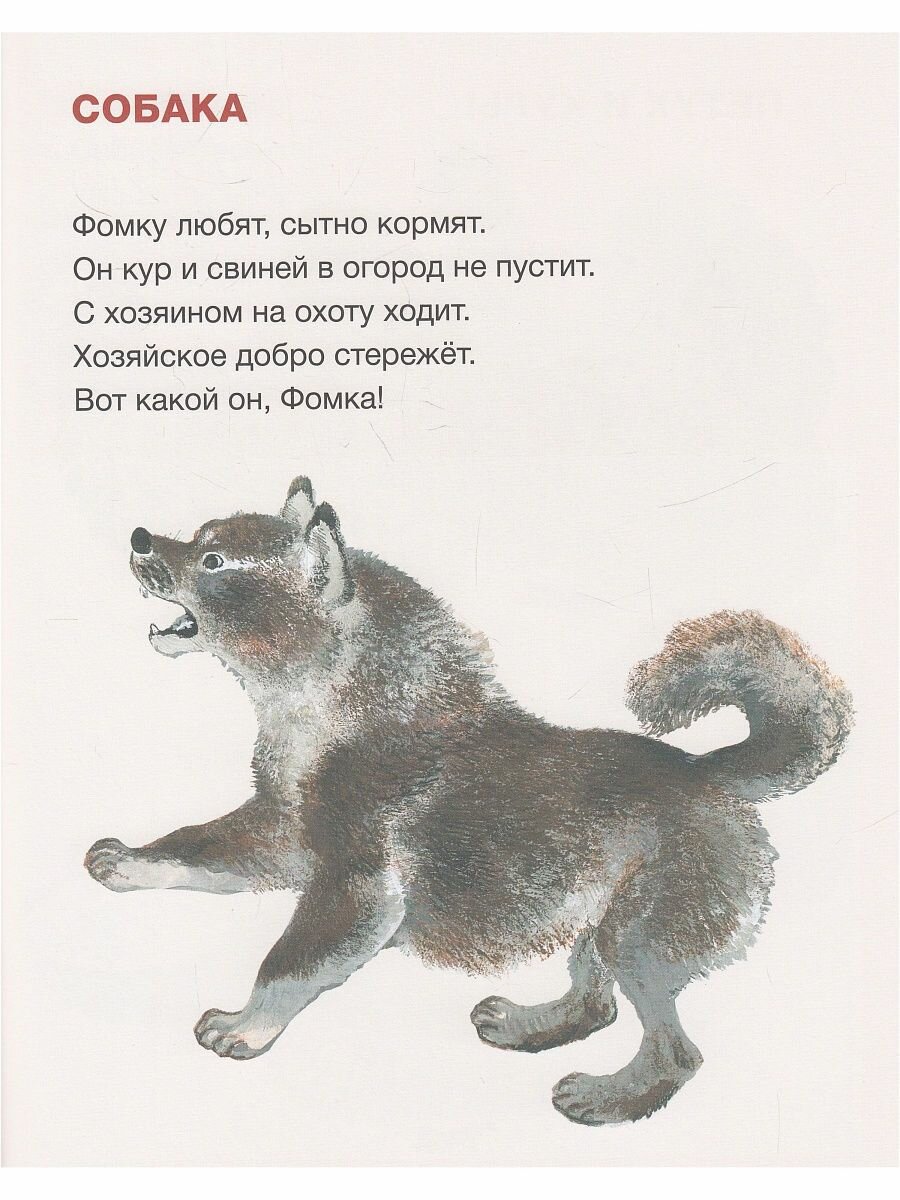 Вот они какие — фото 1
