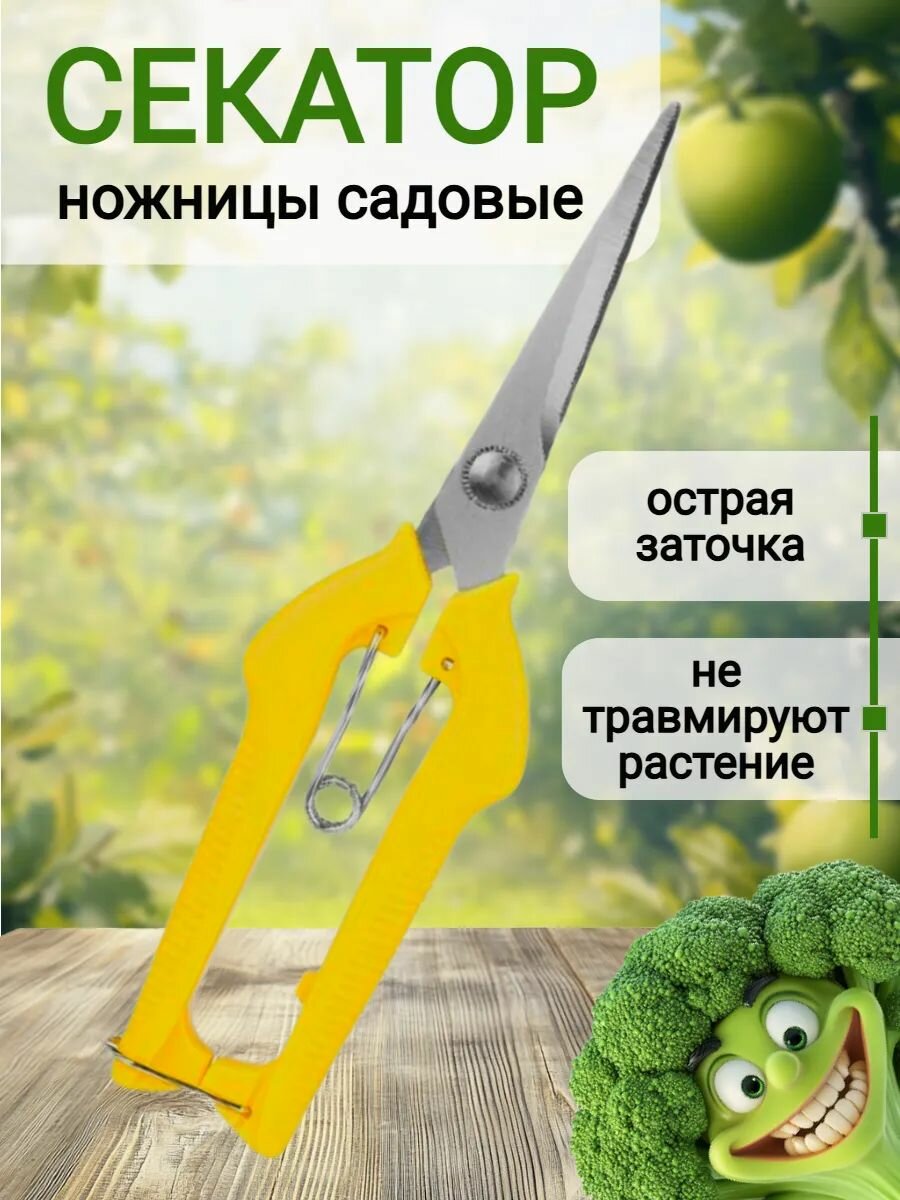Сучкорез