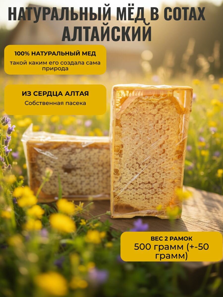 Мед в сотах алтайский мини-рамках 500 грамм 2026