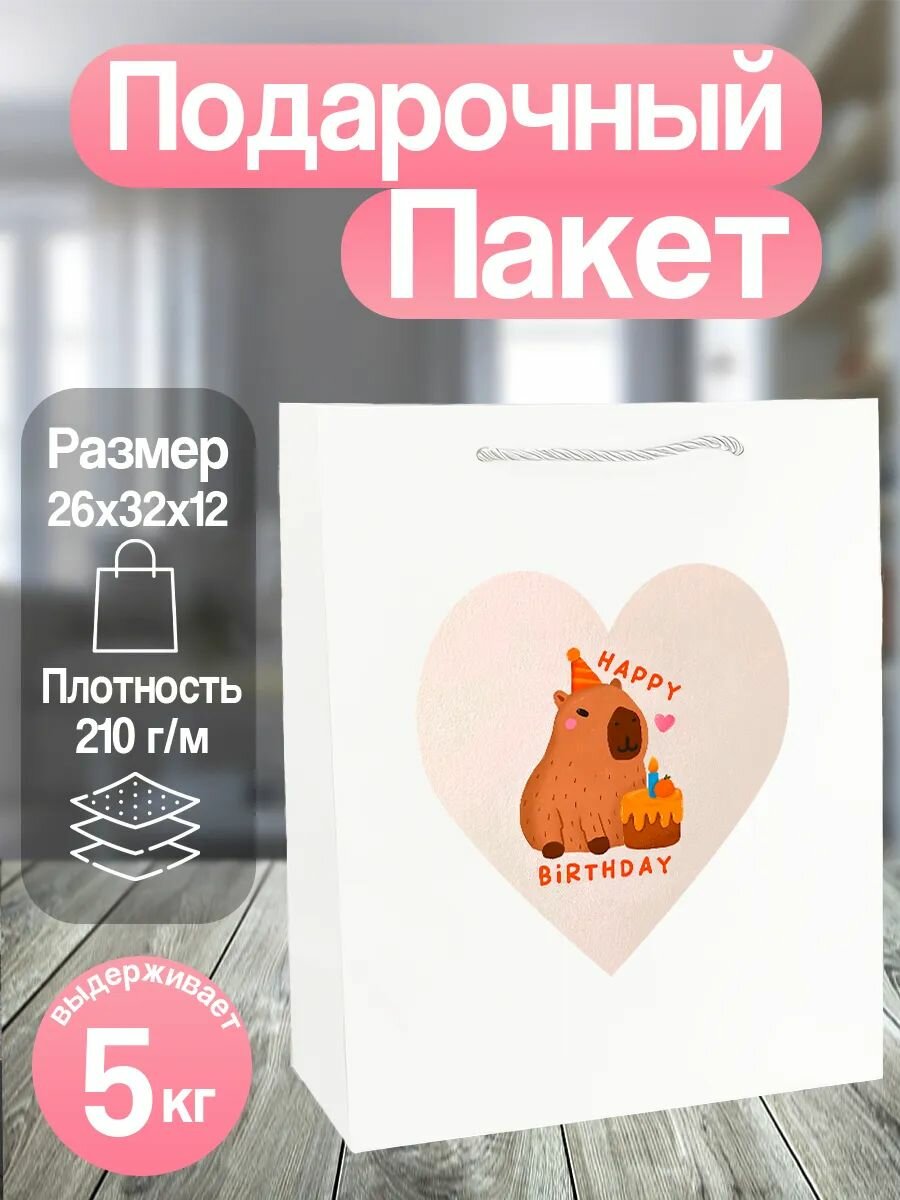 Пакет подарочный на день рождение