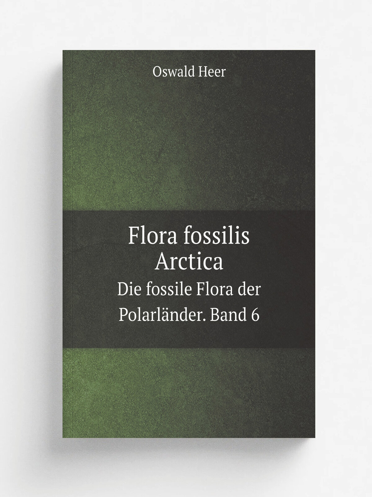 Flora fossilis Arctica. Die fossile Flora der Polarl.nder. Band 6