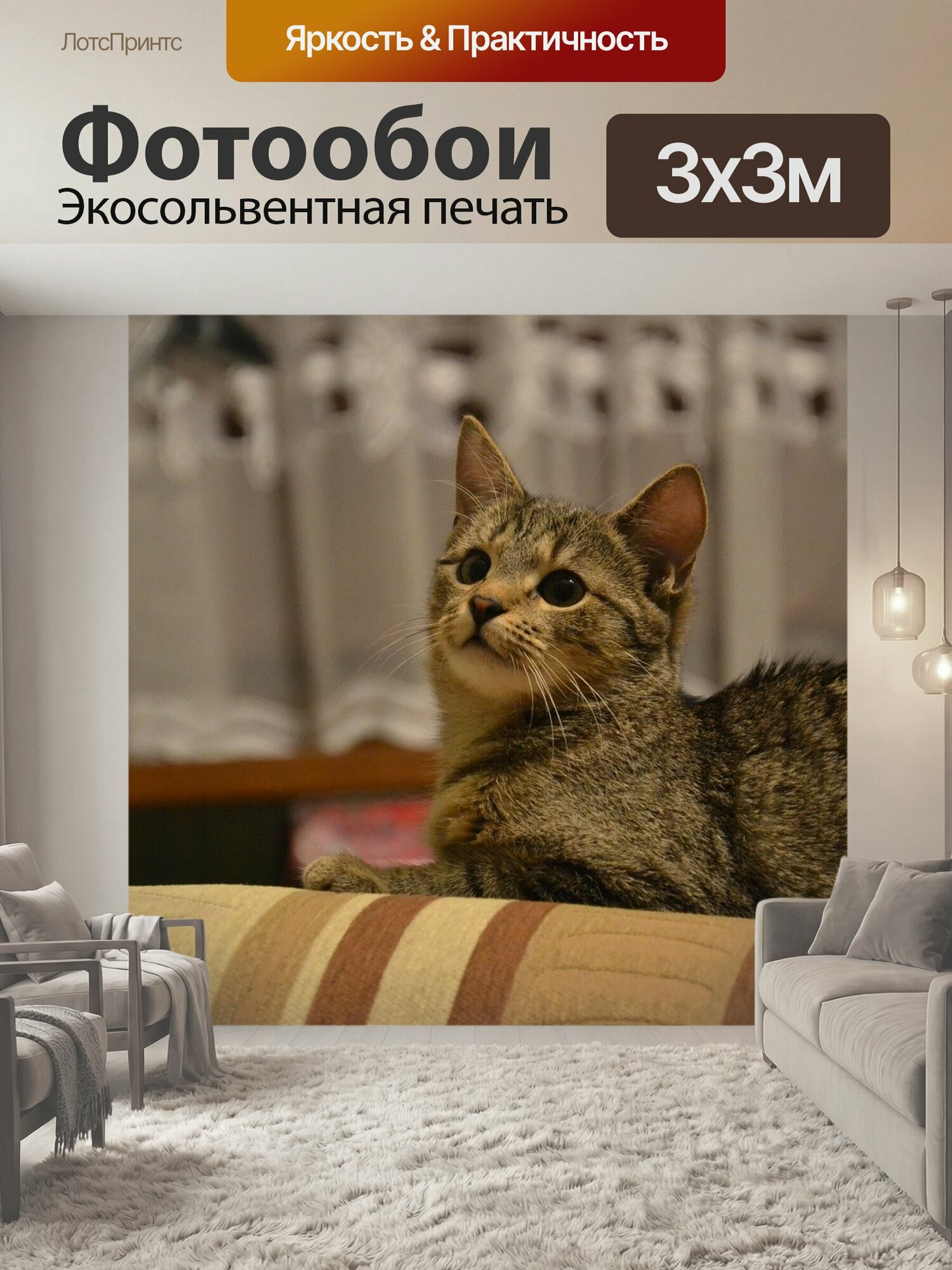 Фотообои "Кошка, котенок, tomcat" 300x300 см. экосольвентная печать
