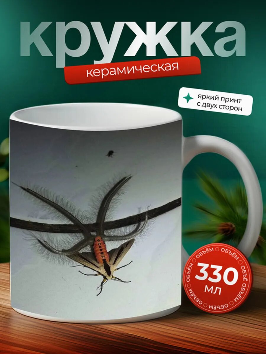 Кружка Моль насекомое 18,
