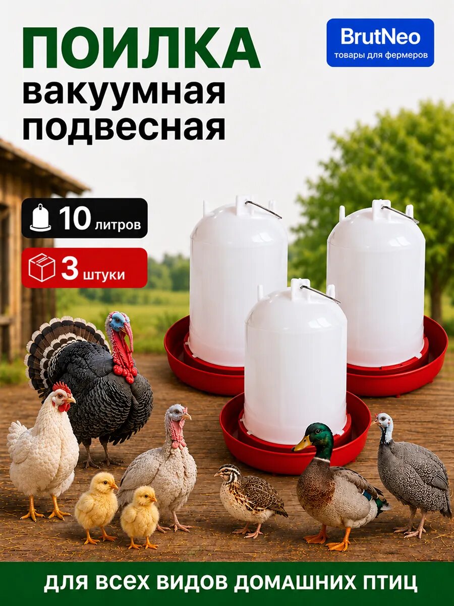 Поилка для цыплят, кур, бройлеров, вакуумная 10л