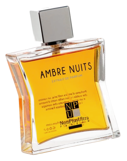 Ambre Nuits духи для женщин и мужчин 30 мл / Нонплюсультра парфюм Амбре Нуитс