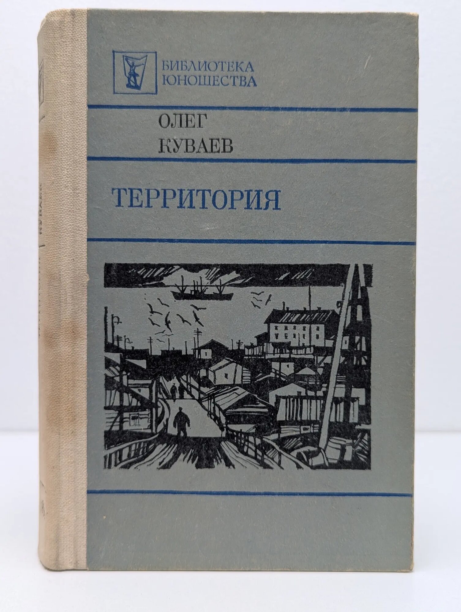 Библиотека юношества. Территория Куваев Олег Михайлович 1984