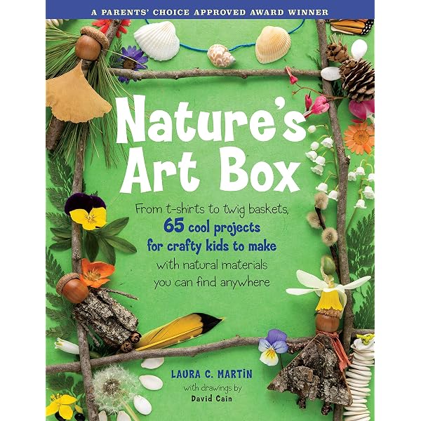Nature's Art Box: From t-shirts to twig baskets, 65 cool projects for crafty kids to make with natural materials you can find anywhere，Reprinted paperback book