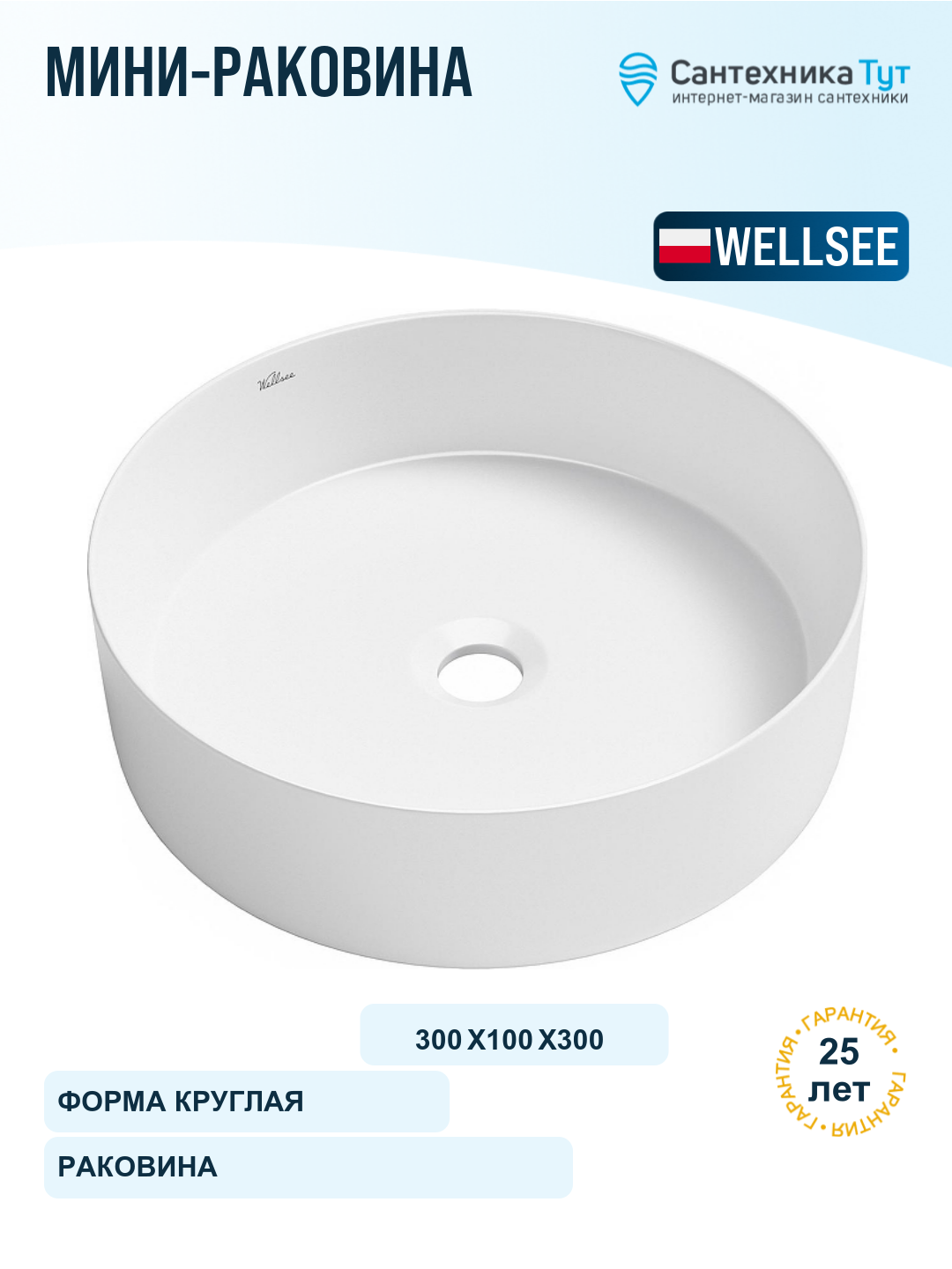 Раковина-чаша Wellsee Coax 30 323501000 цвет Белый глянцевый