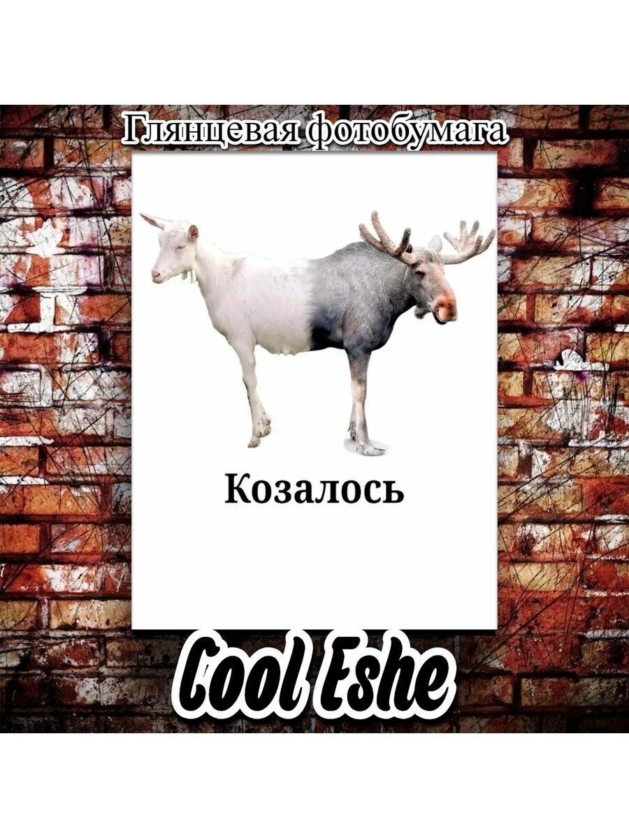 Плакат "Козалось, коза и лось" из коллекции "Приколы" А3