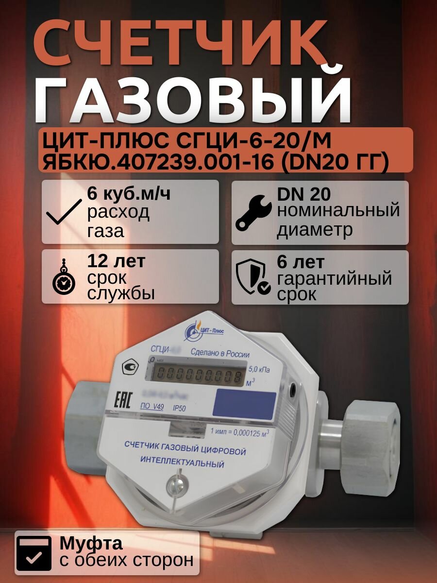 Счетчик газовый СГЦИ-6-20/М ябкю.407239.001-16 (Dn20 ГГ)