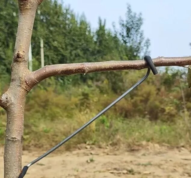 Шпалера,5см,10шт — фото 1