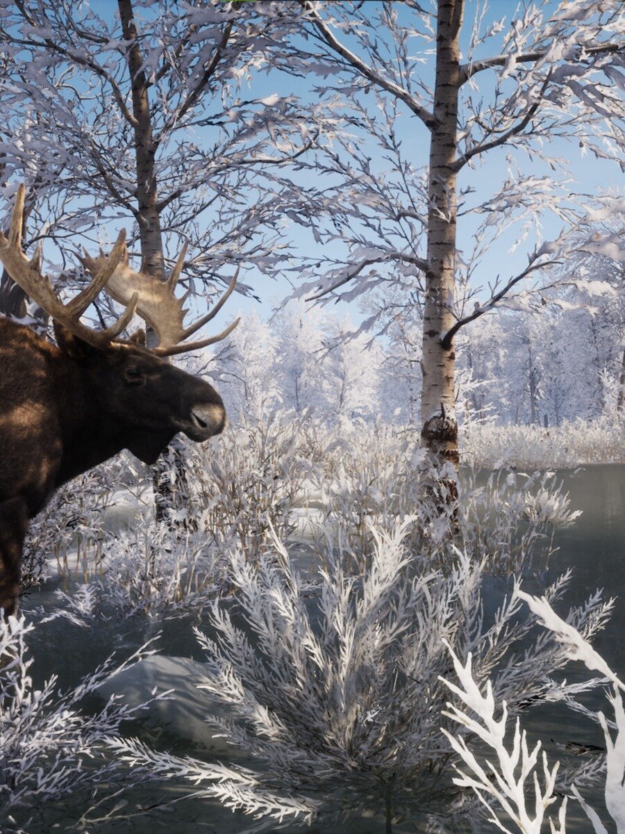 Medieval Dynasty PS5 — PlayStation Store Индия, цифровая версия — фото 1