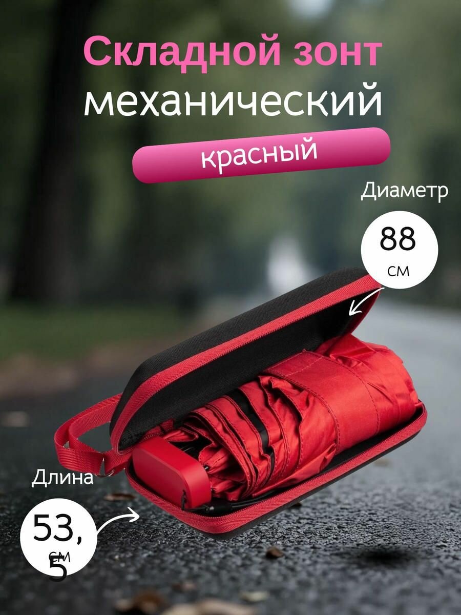 Зонты