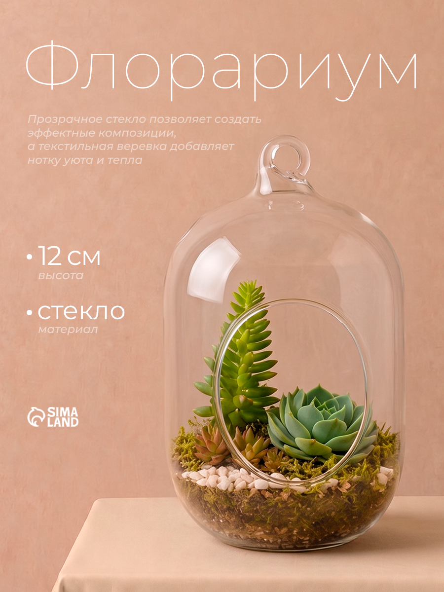 Флорариум Сима-ленд «Цилиндр», подвесной, стекло, с верёвкой, d=5×6 см, 8×12 см