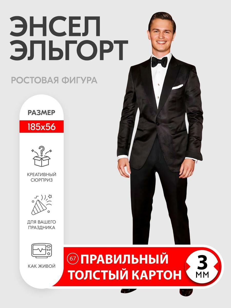 Аксессуар для фотосессий, самое это, Энсел Эльгорт 2, ростовая фигура