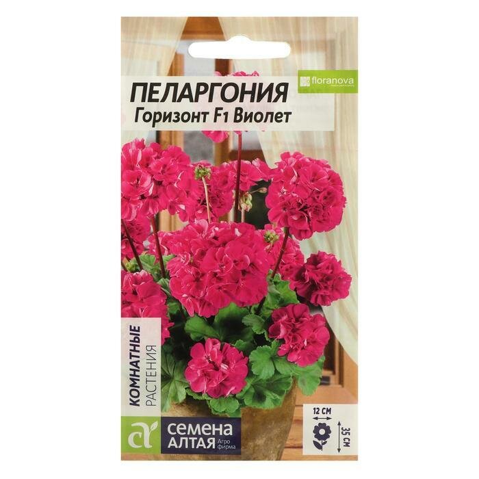 Семена цветов Пеларгония Горизонт 'Виолет', зональная, Сем. Алт, ц/п, 4 шт