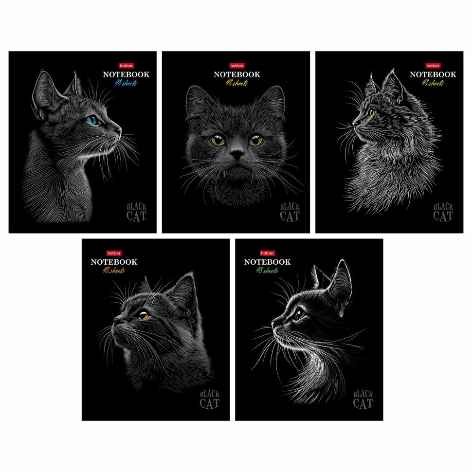 Тетрадь А5, 48 л, HATBER, скоба, клетка, матовая ламинация, 3D-лак, "Black Cat" (микс в спайке), 093159, 48Т5лолВ1, 405709