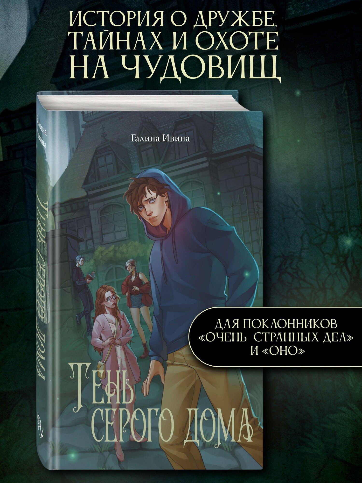 Тень серого дома — фото 1