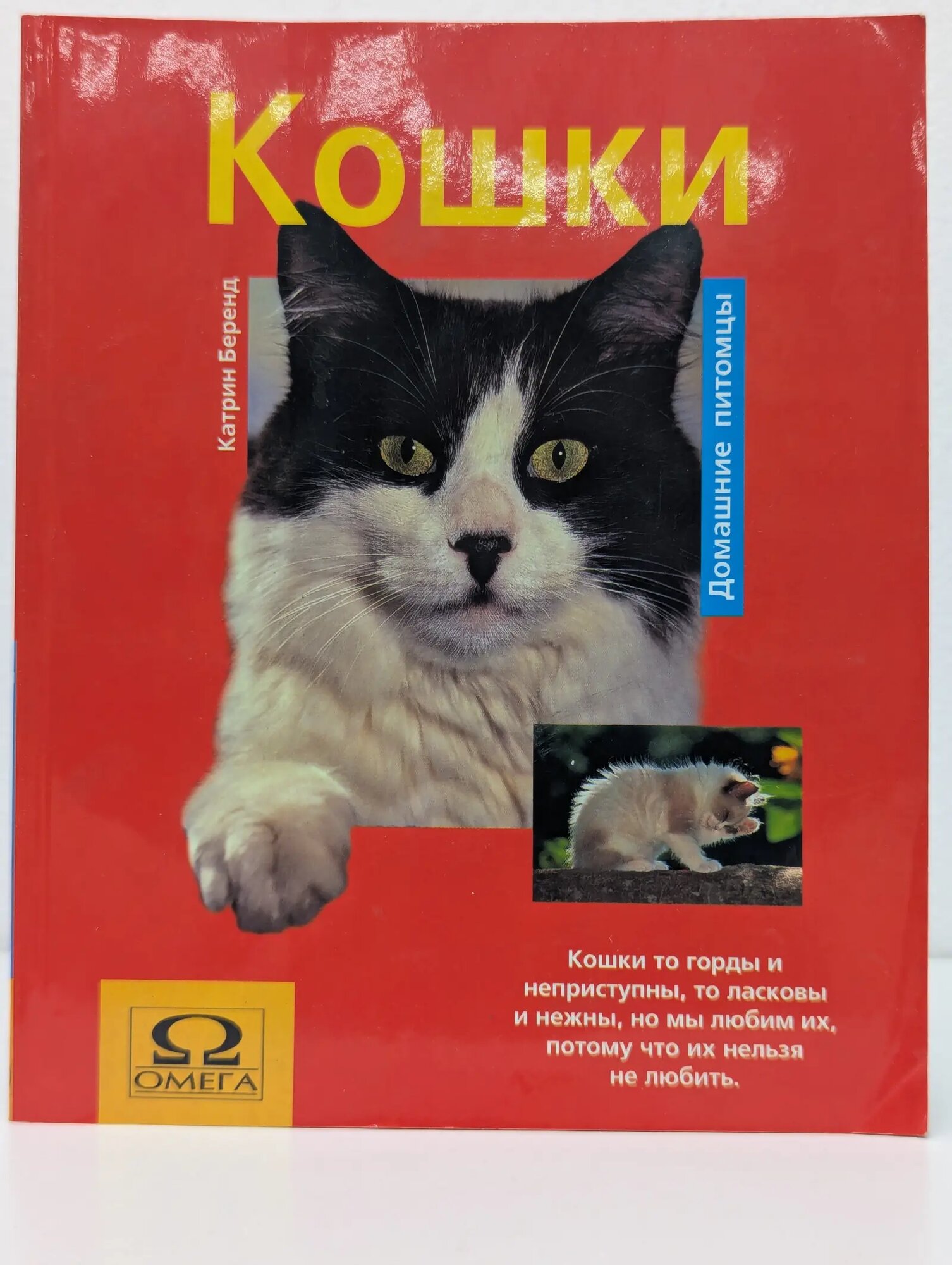 Домашние питомцы. Кошки Беренд Катрин 2003
