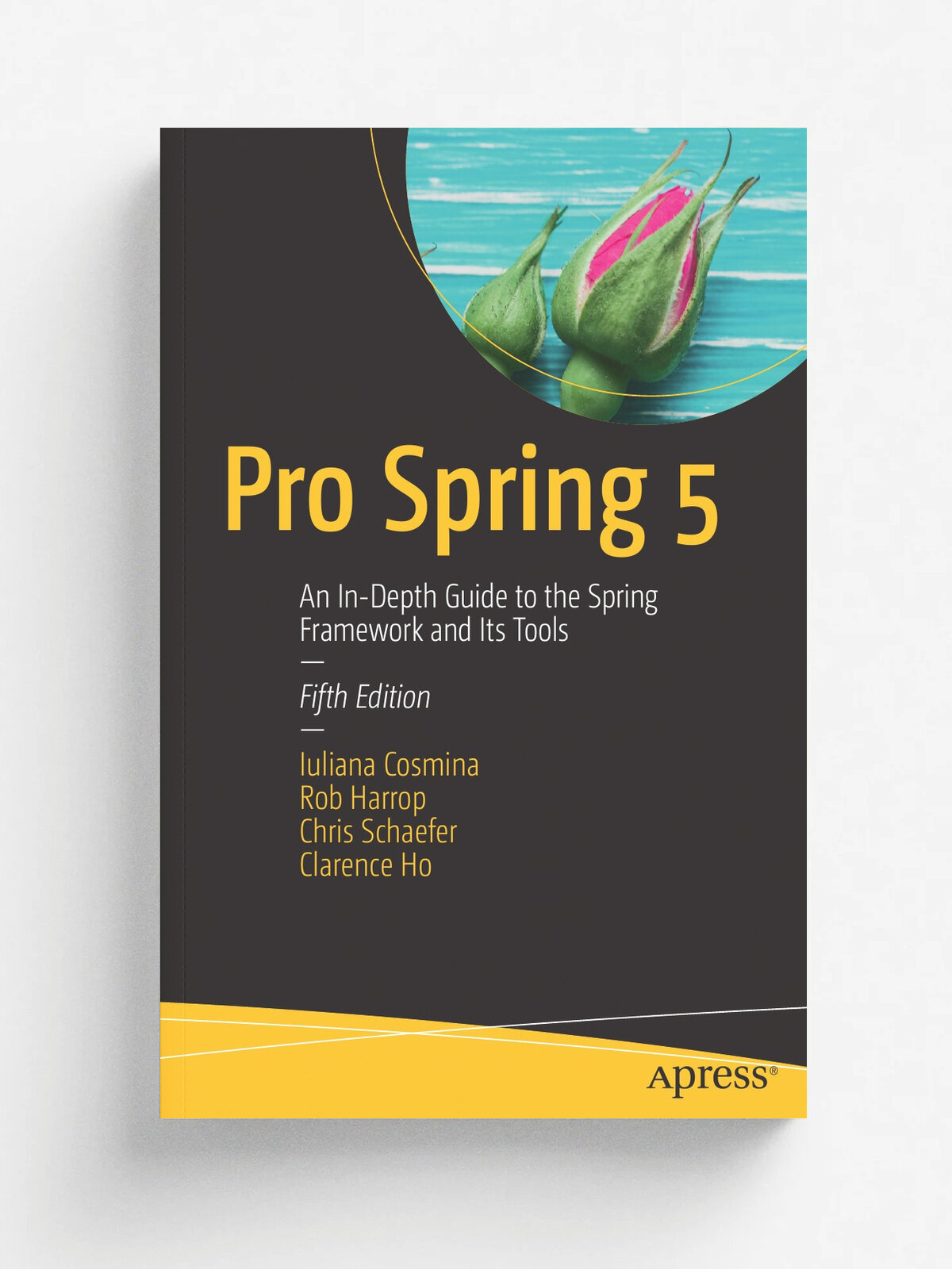 Pro Spring 5. Spring 5 профессиональный: на англ. яз.