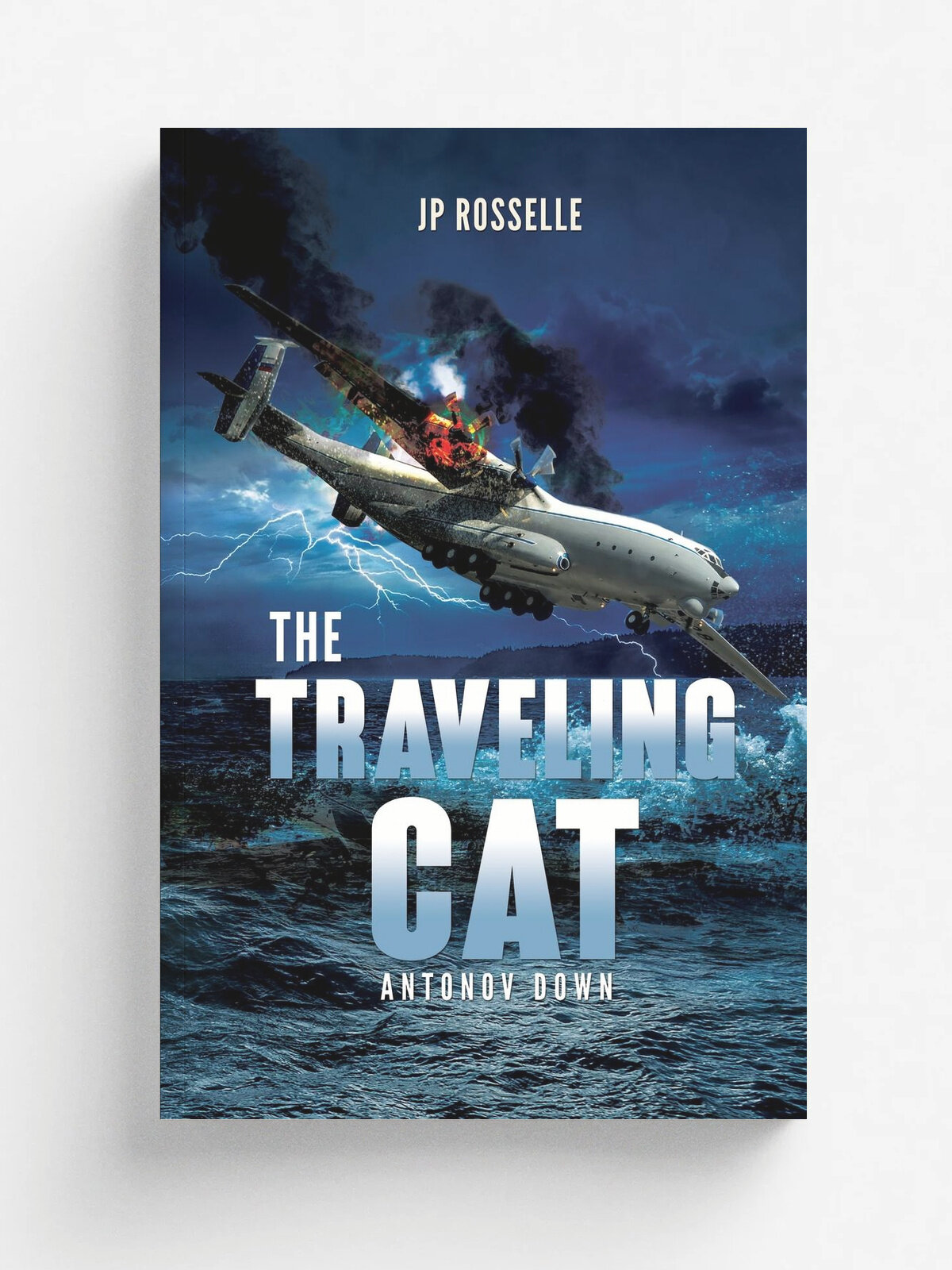 The Traveling Cat