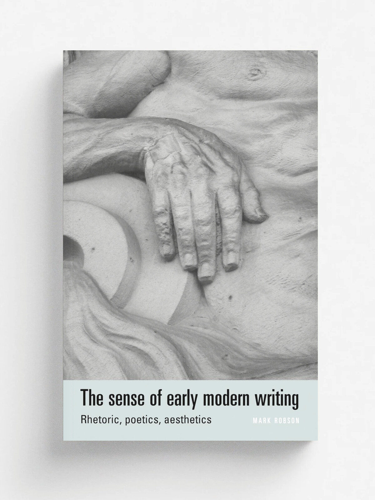 The Sense of Early Modern Writing. Rhetoric, Poetics, Aesthetics