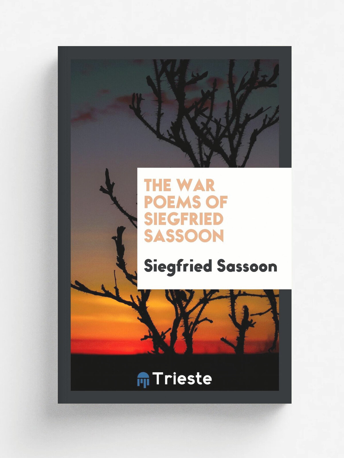 The war poems of Siegfried Sassoon