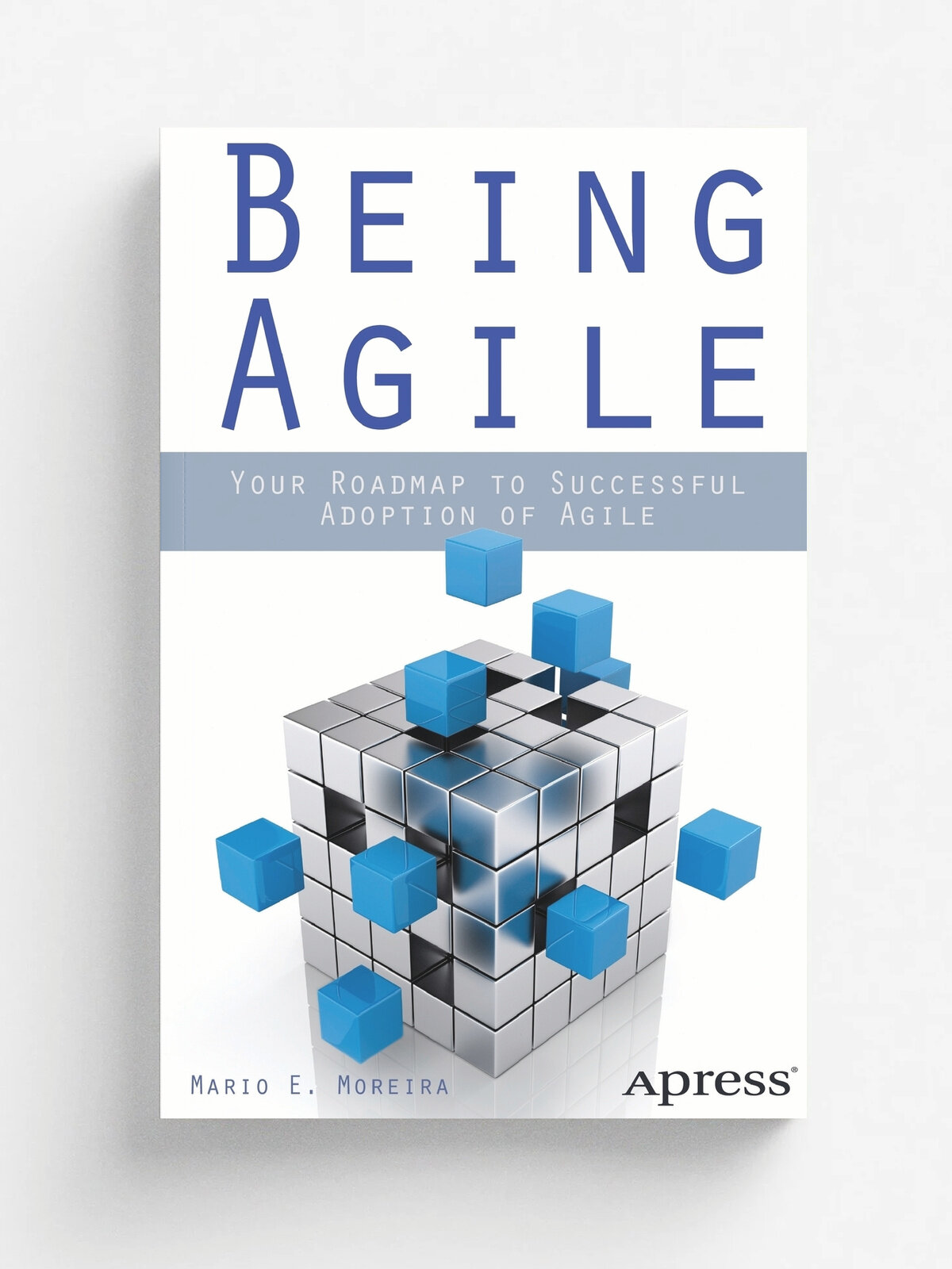 Being Agile. Your Roadmap to Successful Adoption of Agile