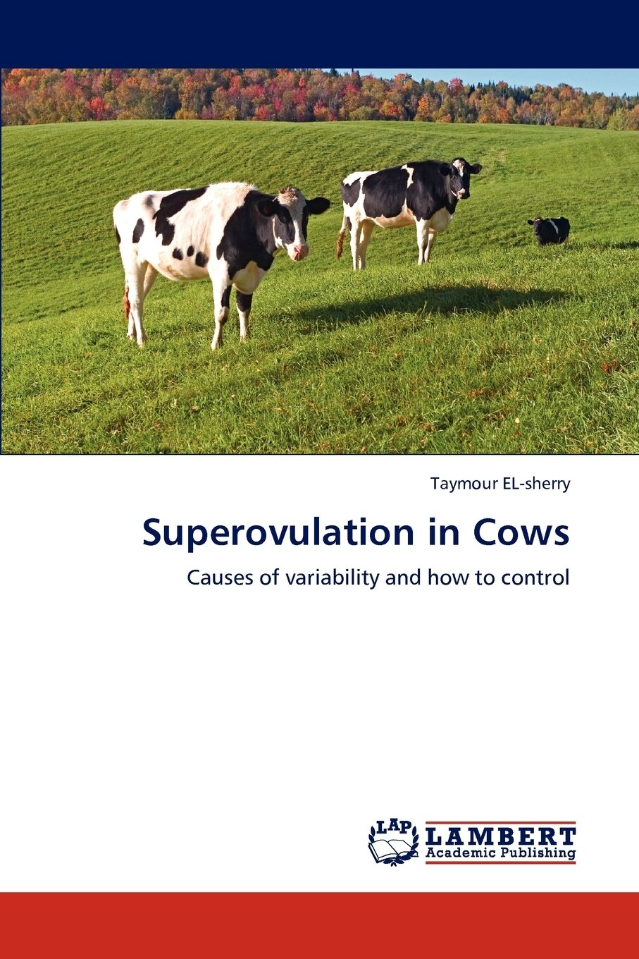 Superovulation in Cows — фото 1
