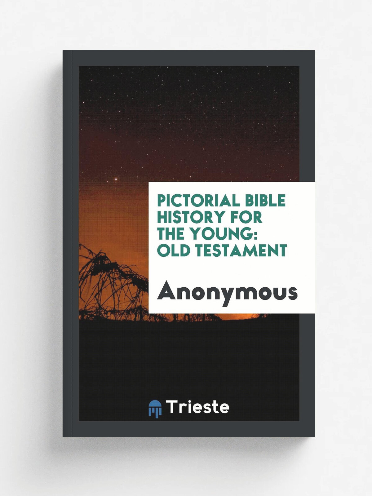 Pictorial Bible History for the Young. Old Testament