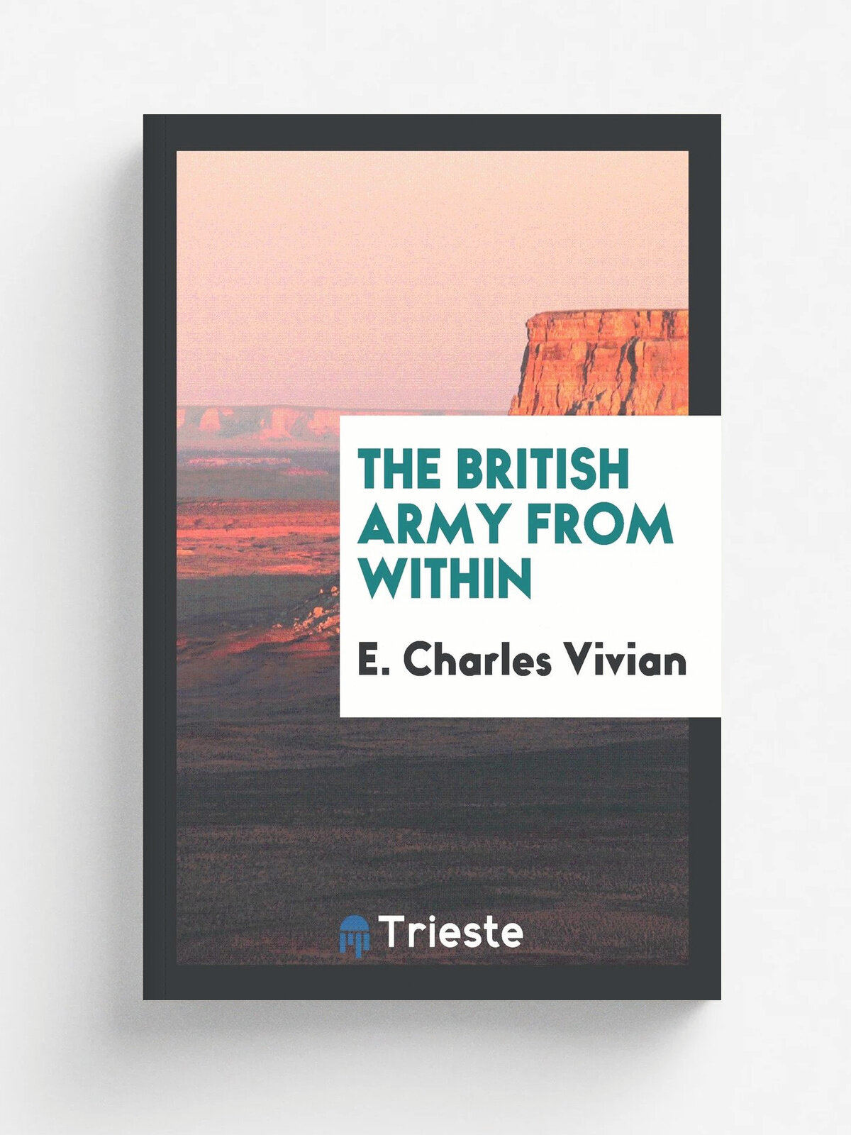 The British Army from Within