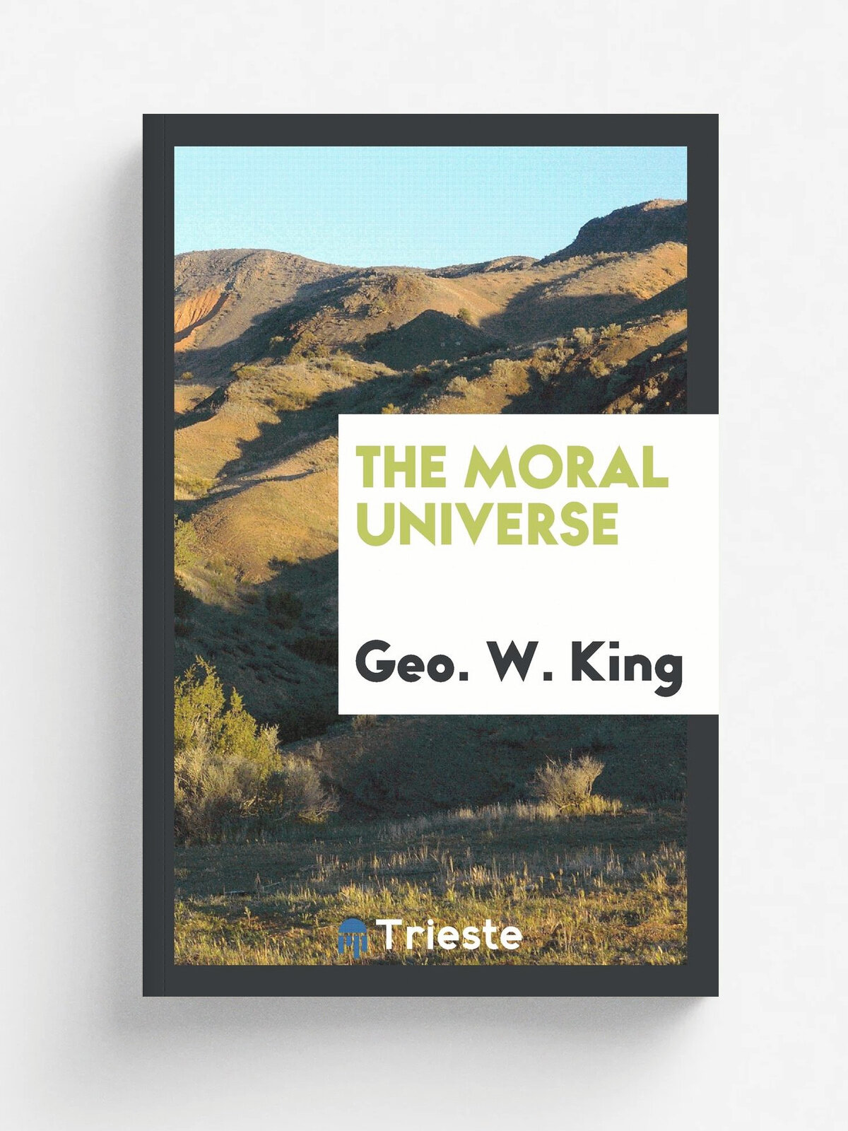 The Moral Universe