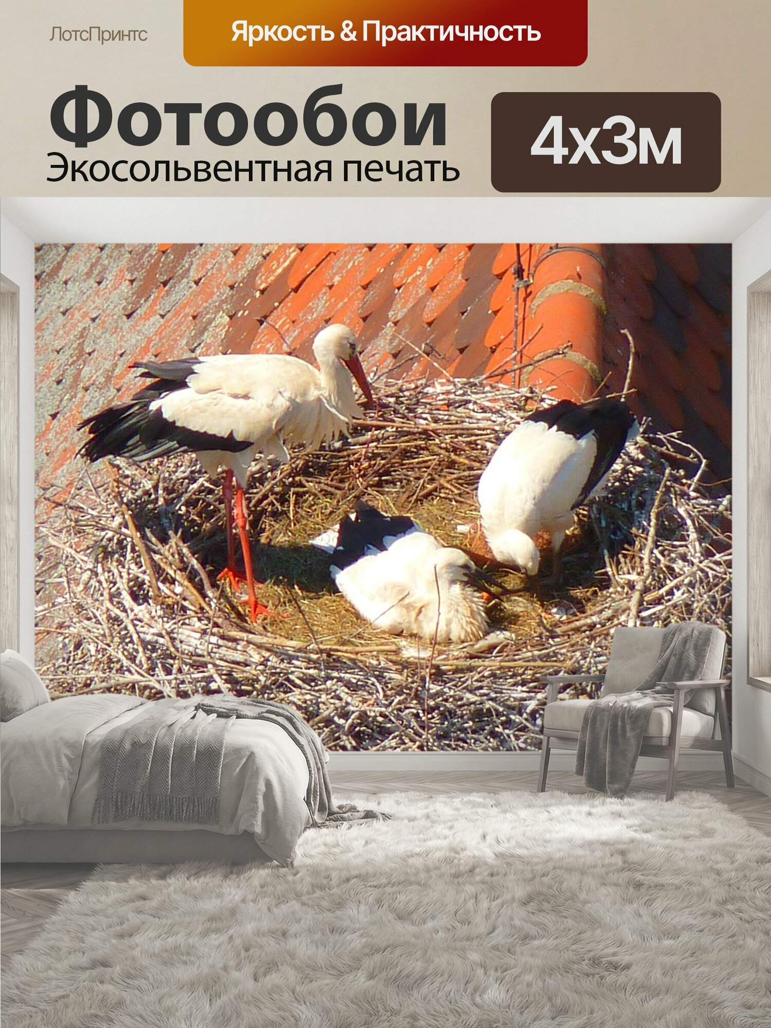 Фотообои "Аист, аисты, птицы" 400x300 см. экосольвентная печать