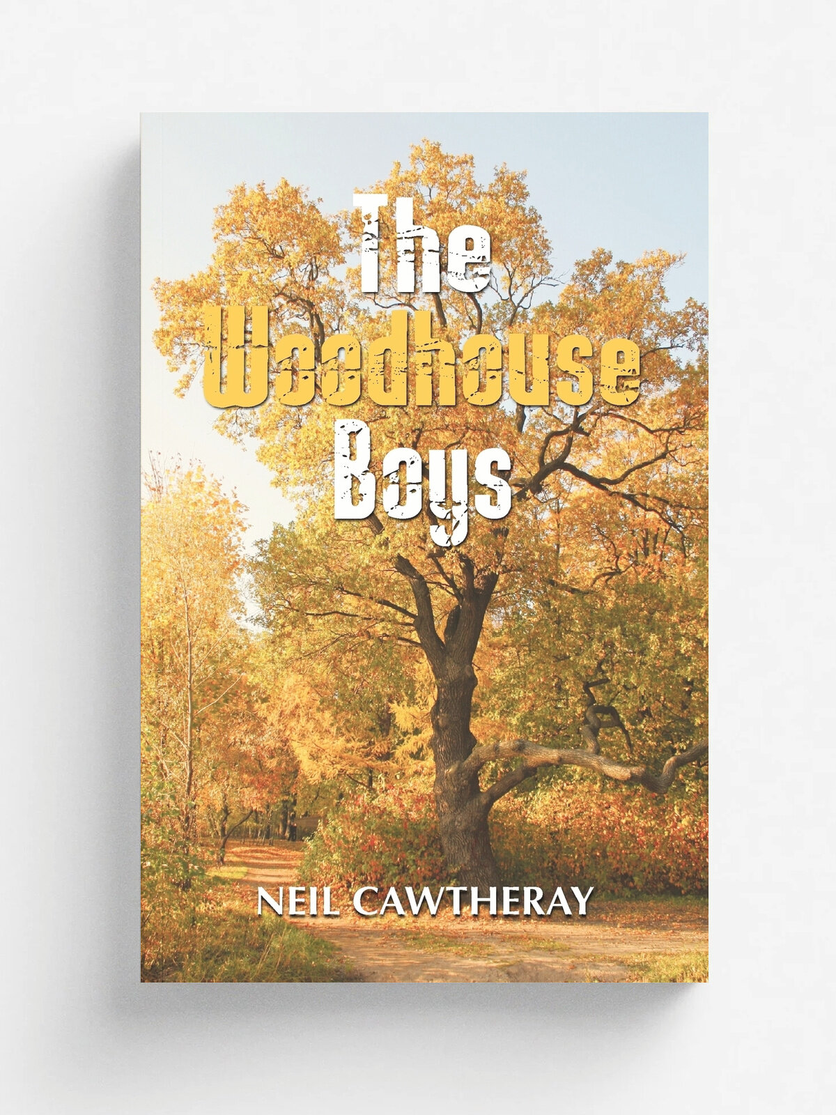 The Woodhouse Boys
