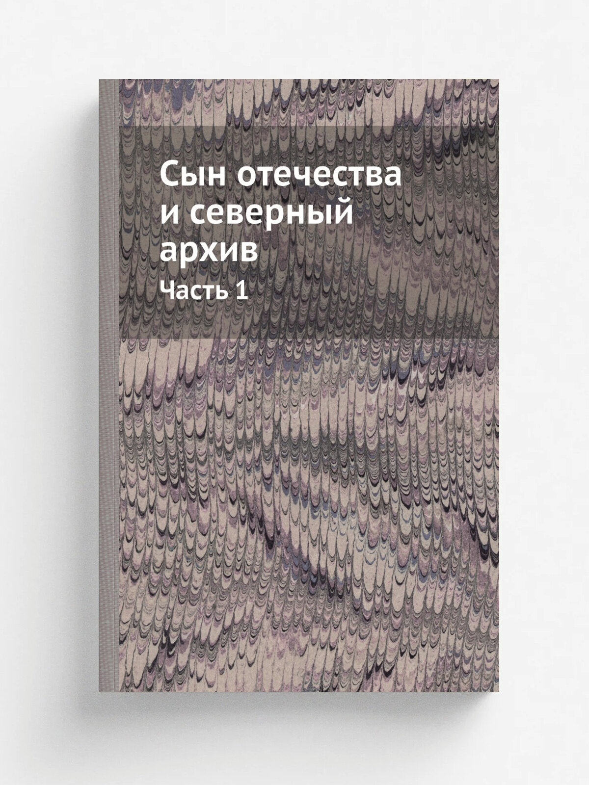 Сын отечества и северный архив. Часть 1 | Репринт