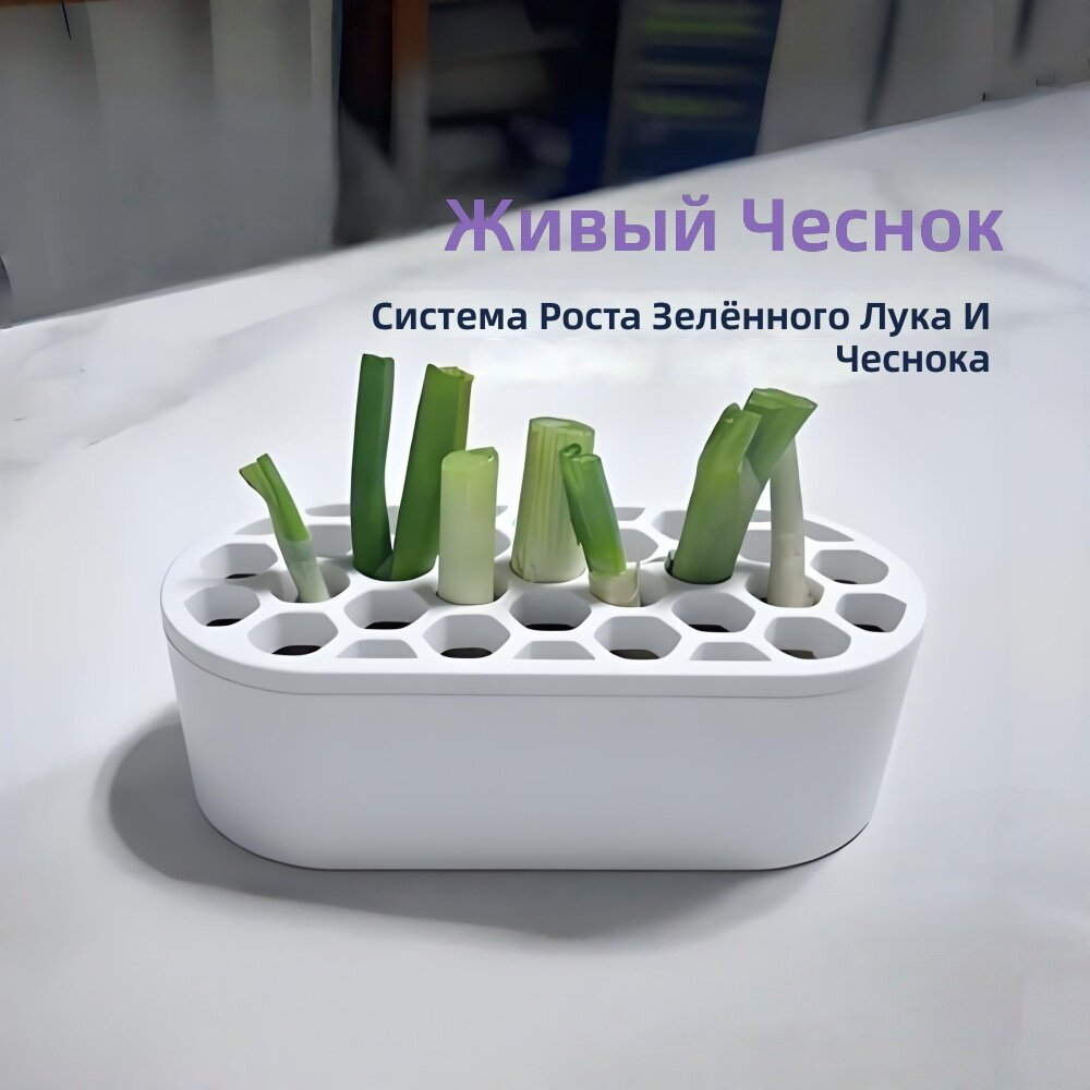 Набор для быстрого выращивания зеленого лука, компактная система для балкона и подоконника, 1 штука, белый