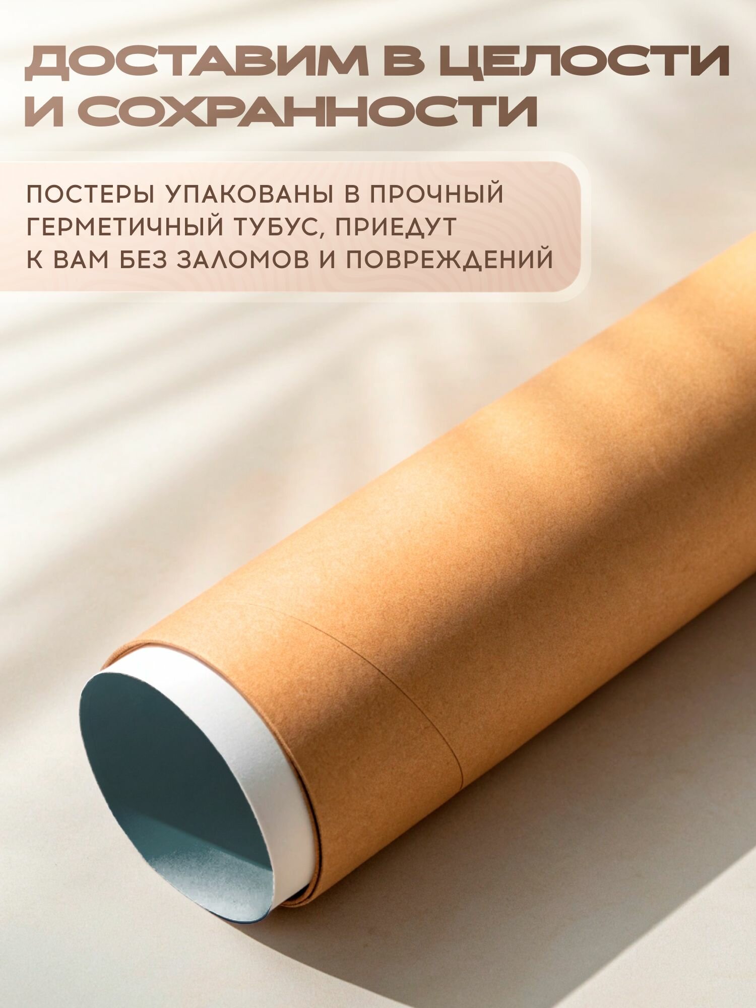 Постеры на стену гуси — фото 1