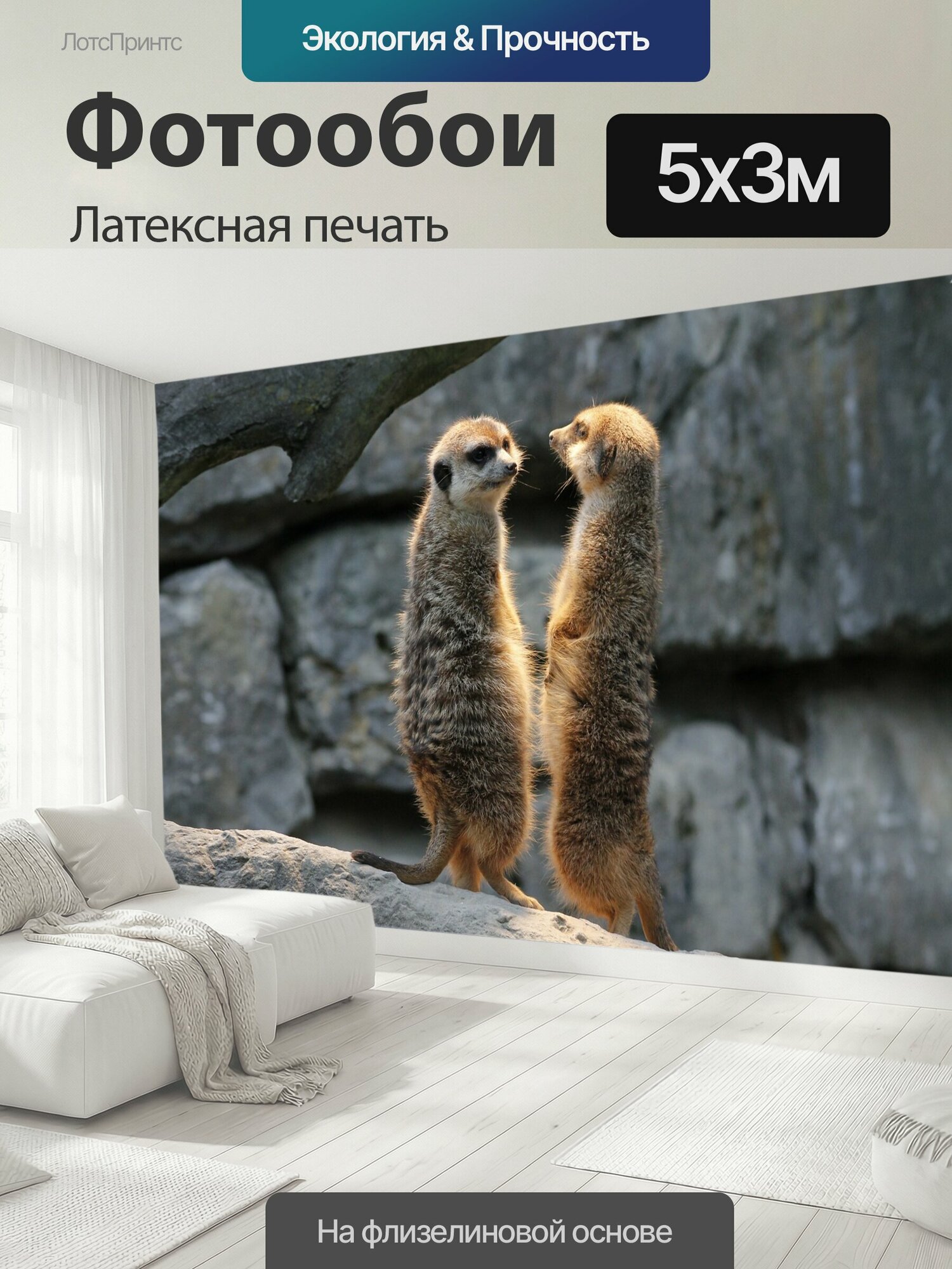 Фотообои моющиеся ударопрочные "Сурикат, осторожно, хранитель" 500x300 см. латексная печать