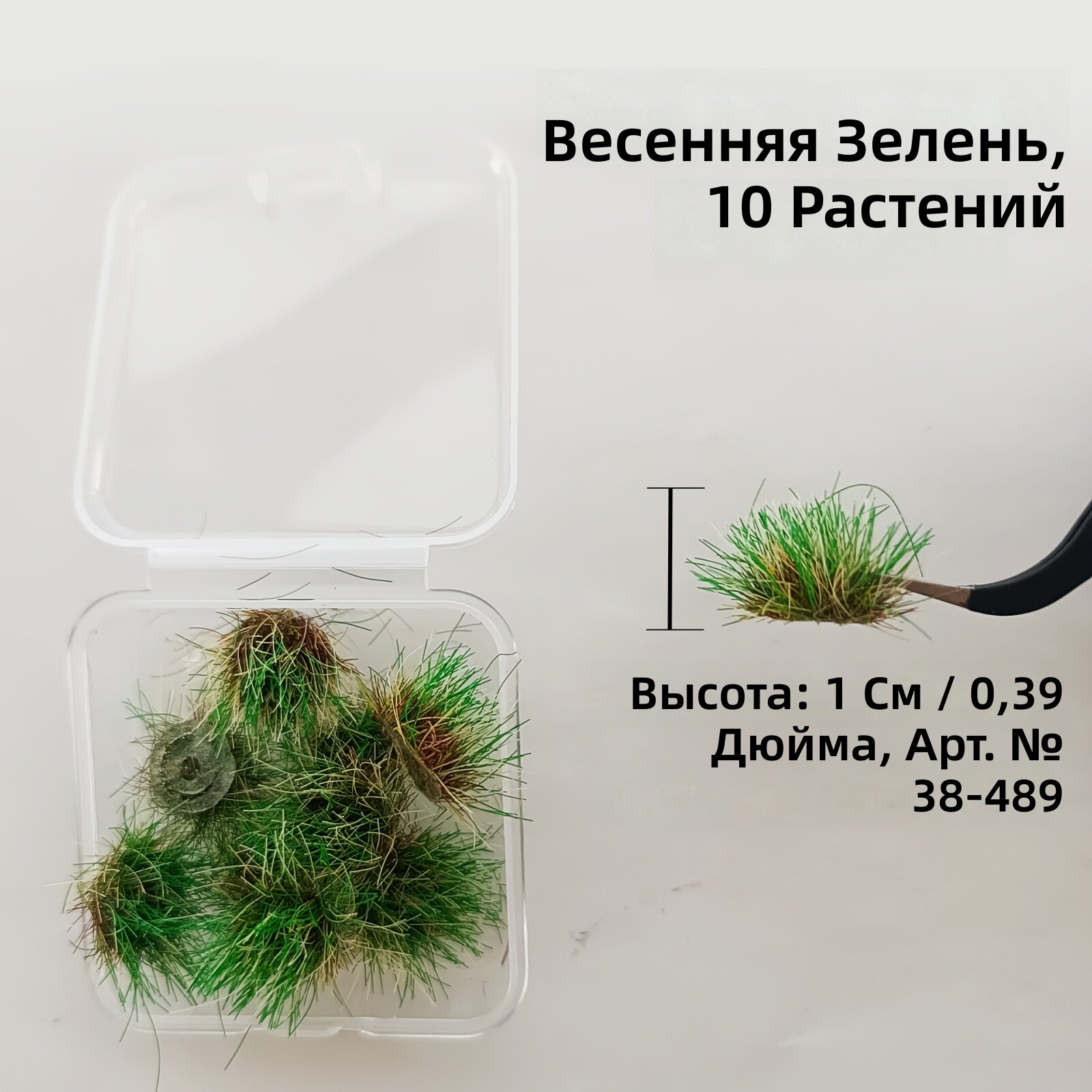Микро-ландшафтная трава, 10 кластеров в коробке, зеленый цвет