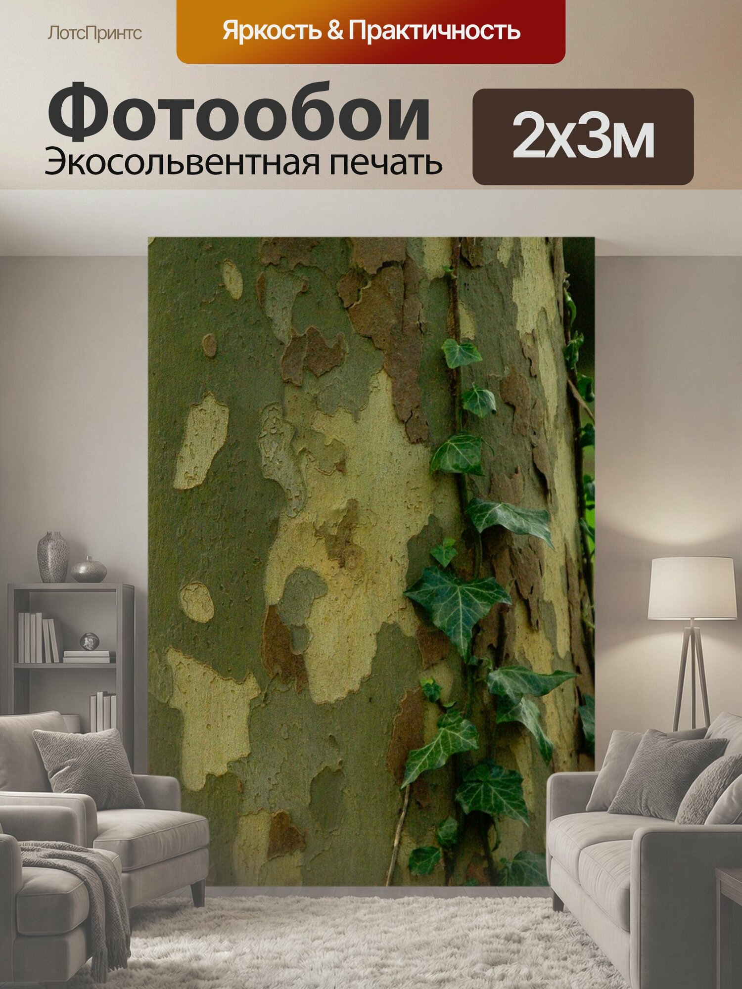 Фотообои "Платан, кора, ствол дерева" 200x300 см. экосольвентная печать