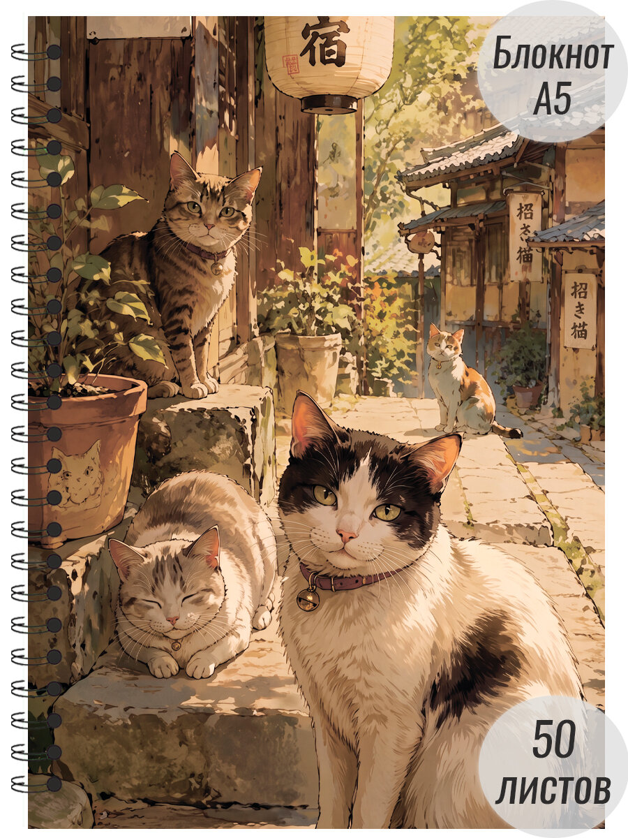 Блокнот Котики, cat , Китайские коты