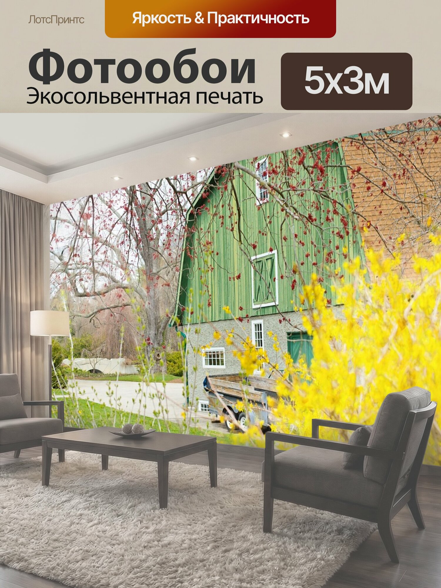 Фотообои "Сарай, весенние цветы, форзиция" 500x300 см. экосольвентная печать