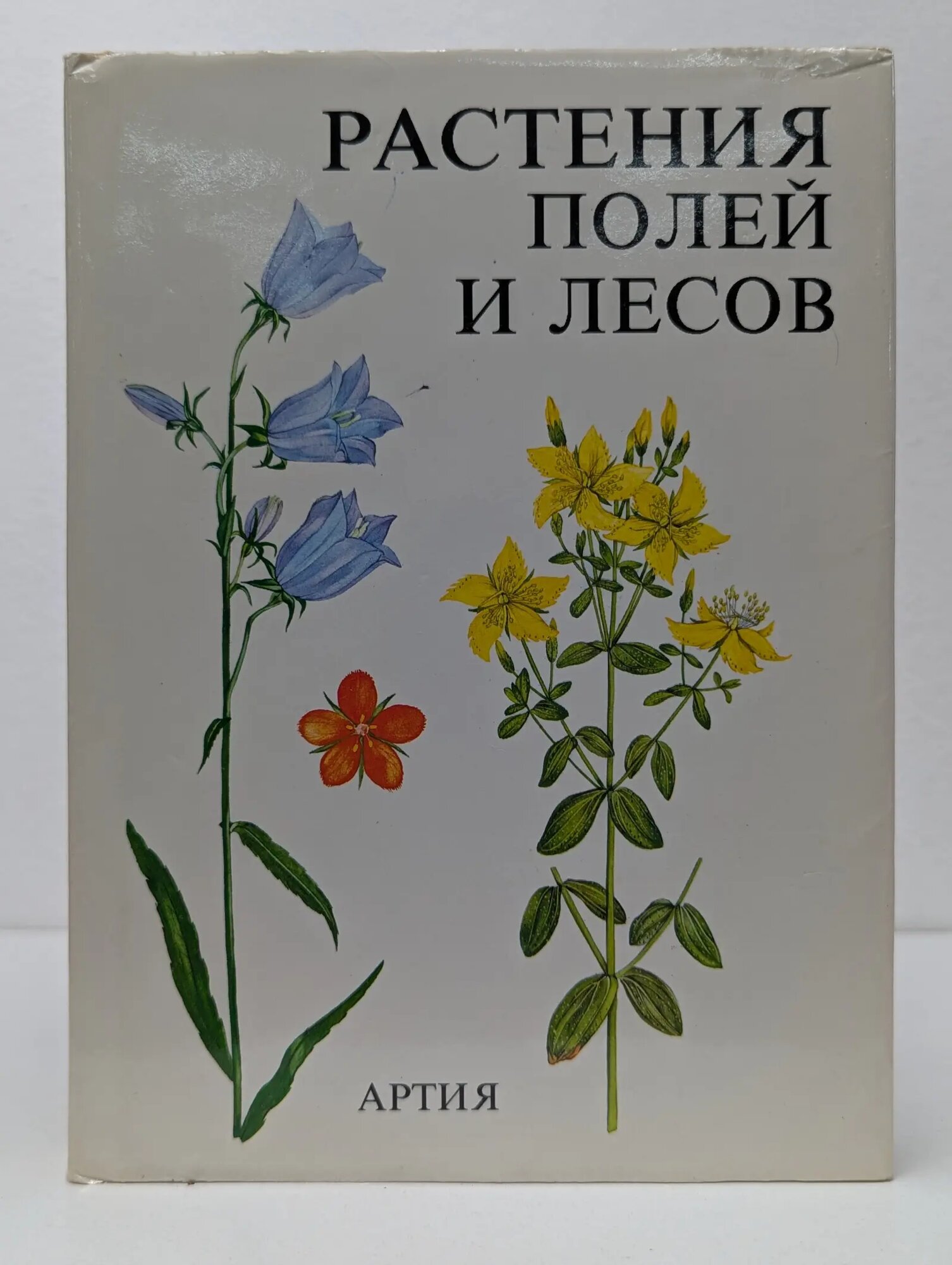 Растения полей и лесов Фельдман Владимир Исаевич 1987