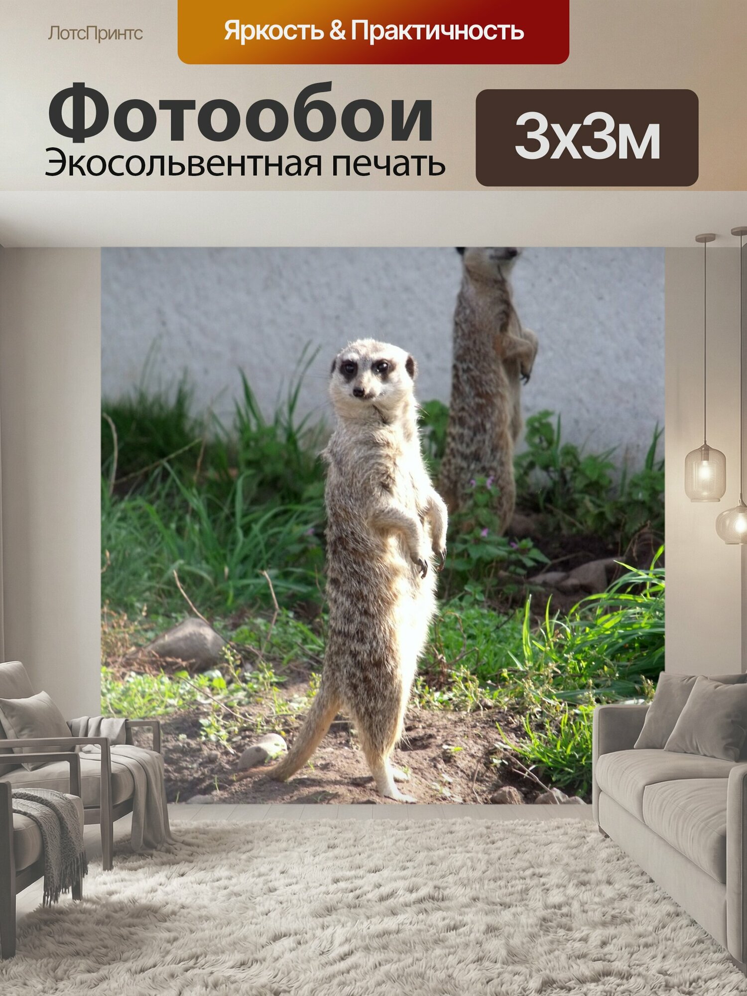 Фотообои "Сурикат, животное, смотри" 300x300 см. экосольвентная печать