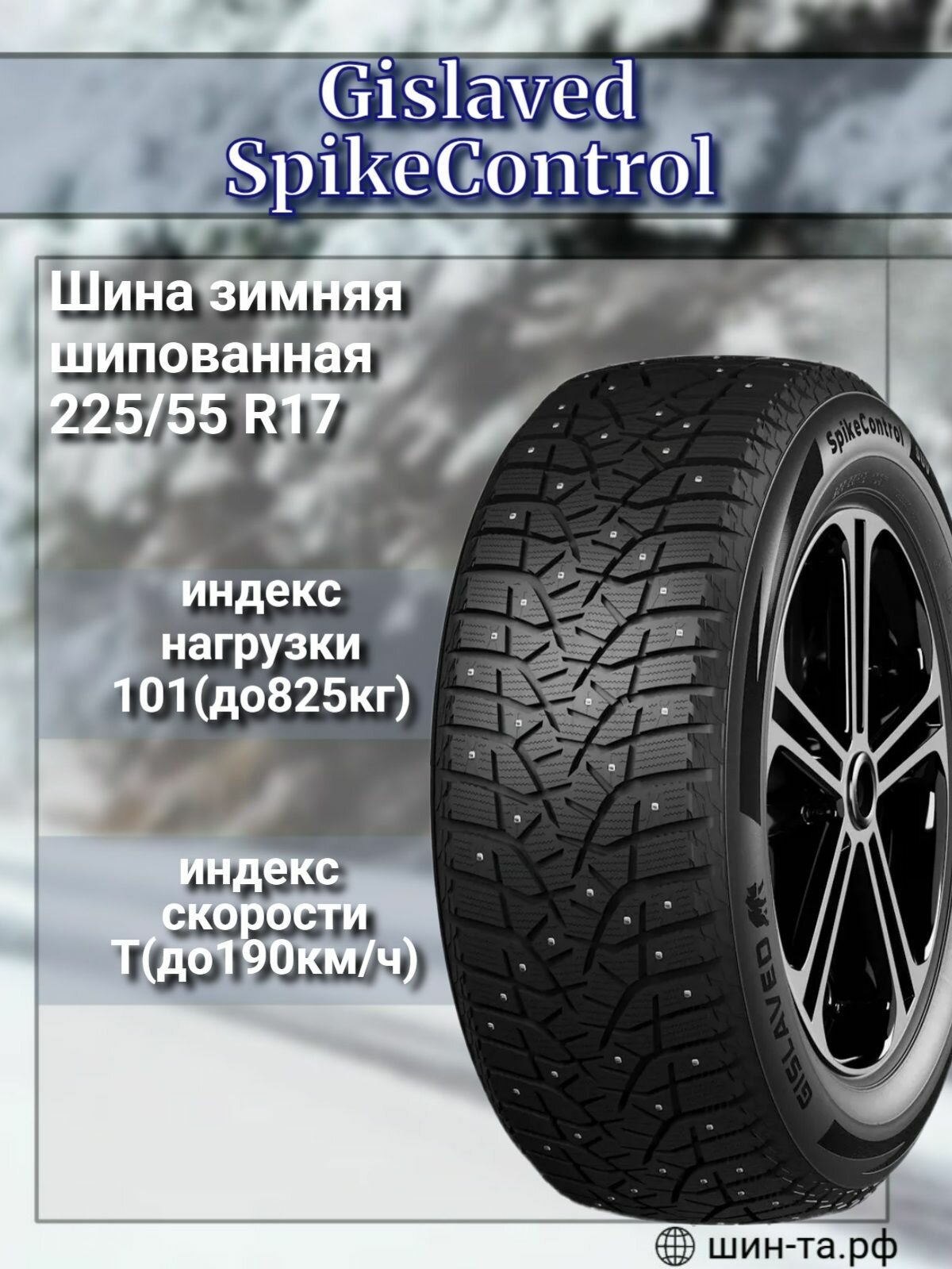 Шина легковая зимняя Gislaved SpikeControl 225/55 R17 101 T TL