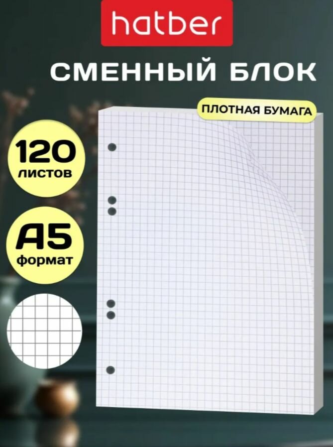 Сменный блок для тетради на кольцах А5 в клетку 120 листов для кольцевого переплета внутренний блок