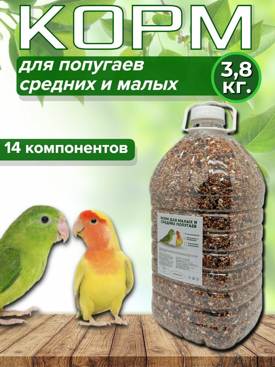 Корм для средних и волнистых попугаев, для птиц экзотических RICH RANCH 3,8 кг средние попугаи волнистые попугаи экзотические птицы